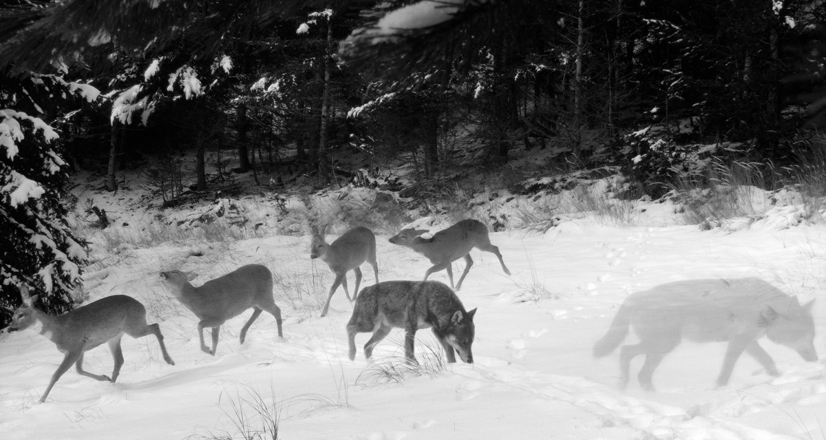 MYOP in Arles 2023 : un manifeste sur l’importance de faire foule