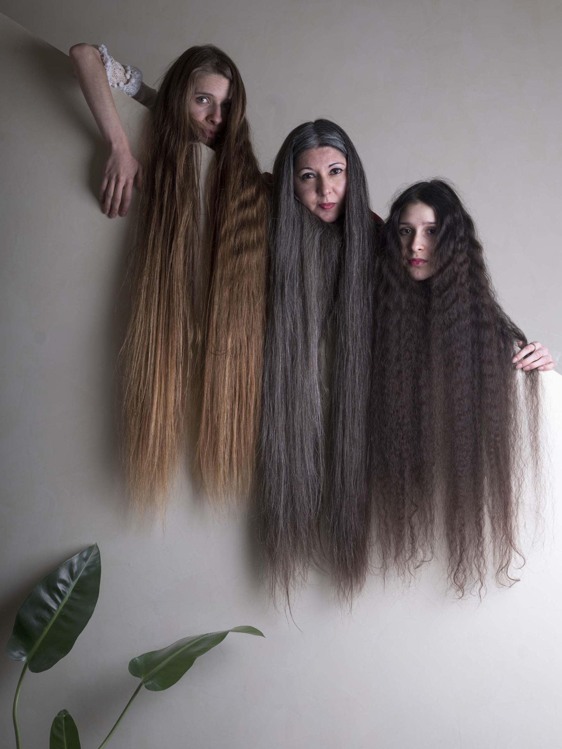 "Dear Long hair" : le pouvoir des cheveux