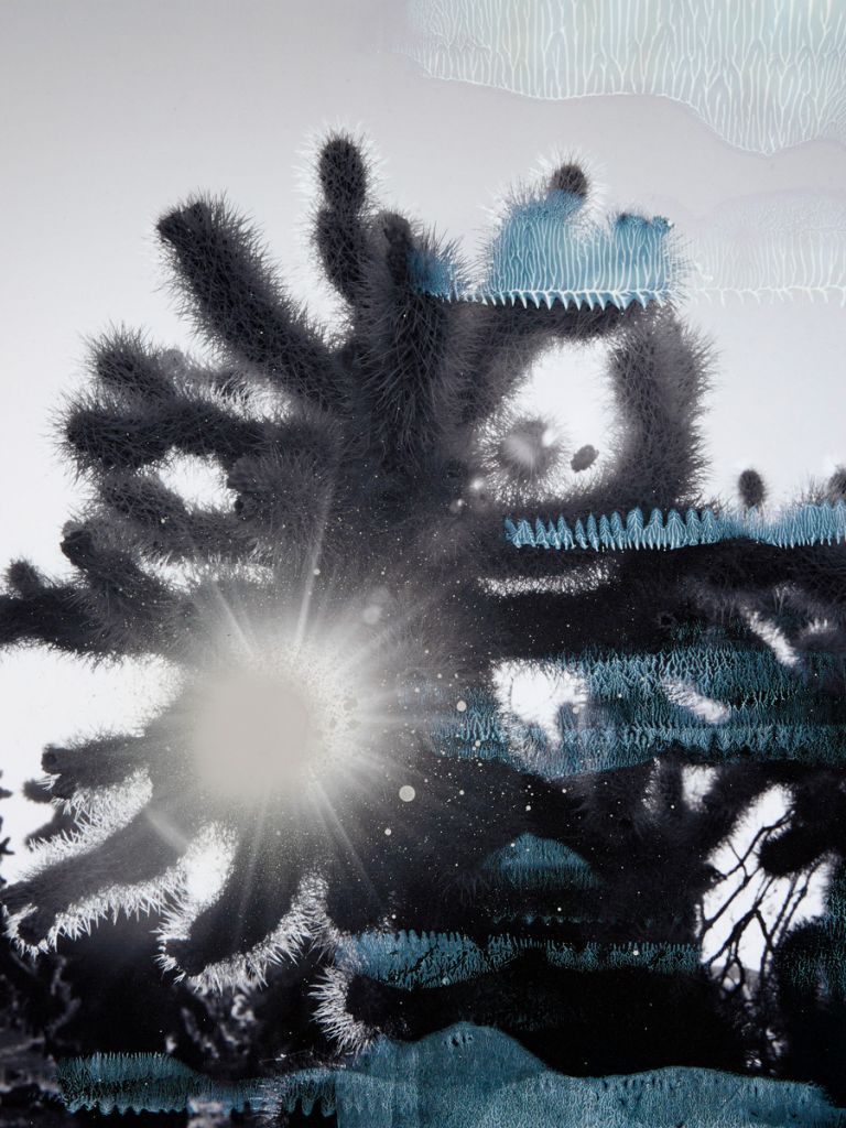 Douglas Mandry et Thirza Schaap : uni·es par l'environnement | Fisheye ...