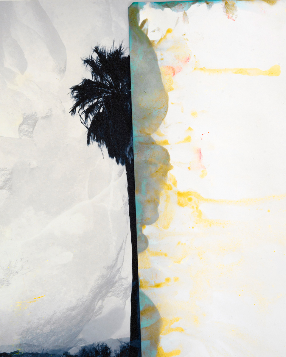 Douglas Mandry et Thirza Schaap : uni·es par l'environnement | Fisheye ...