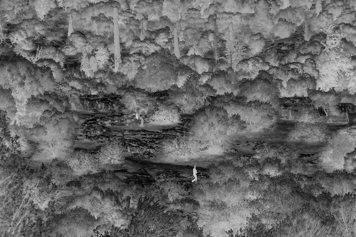 Les coups de cœur #460 : Efi Laskari et Marion Gabrielle