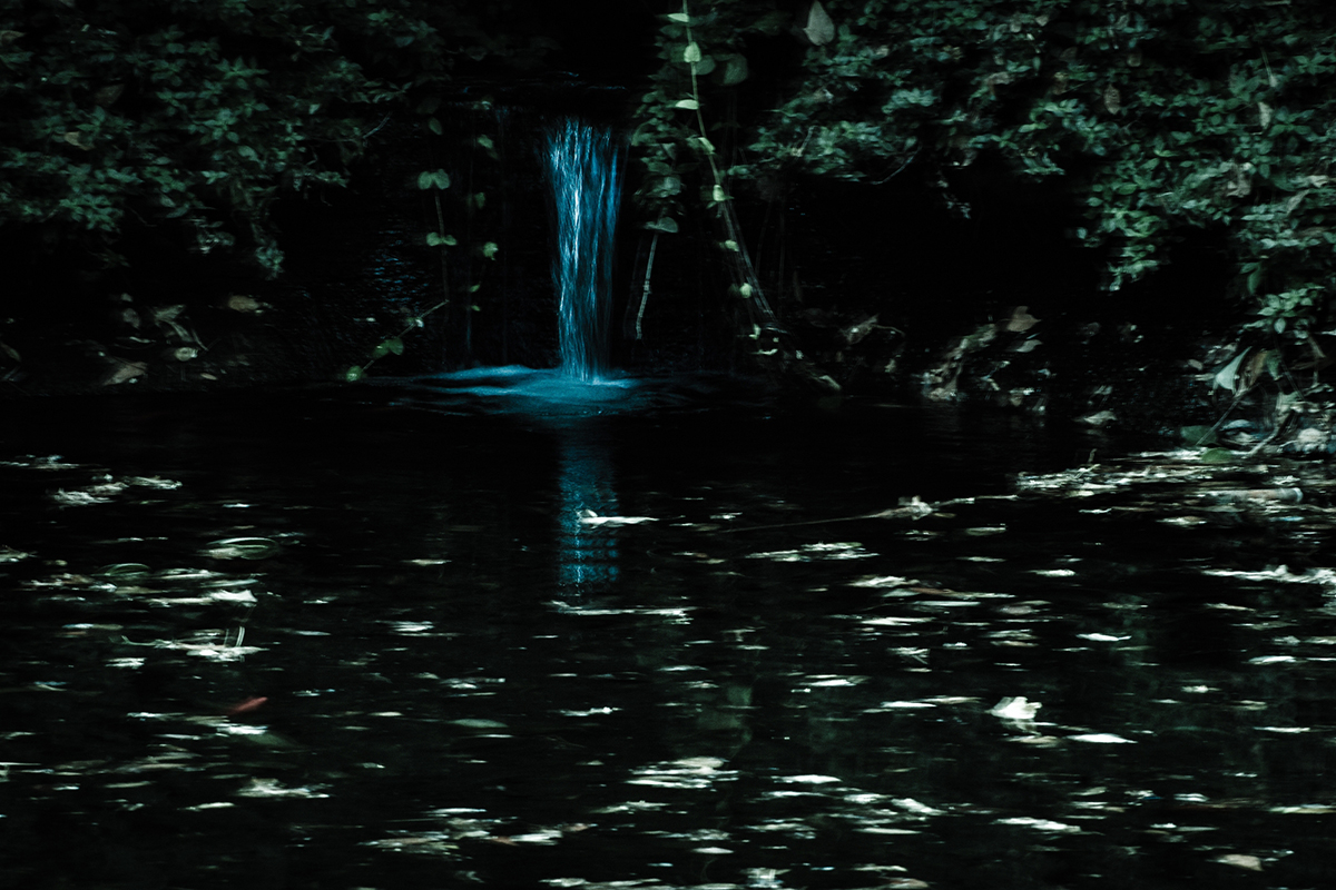 Les coups de cœur #460 : Efi Laskari et Marion Gabrielle