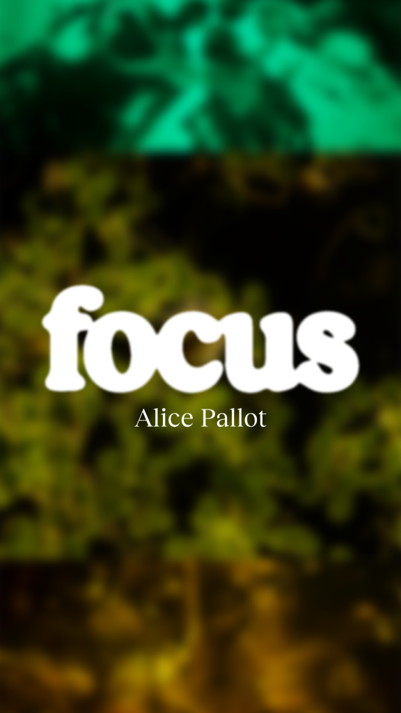 Focus #57 : Alice Pallot et la prolifération d’algues toxiques