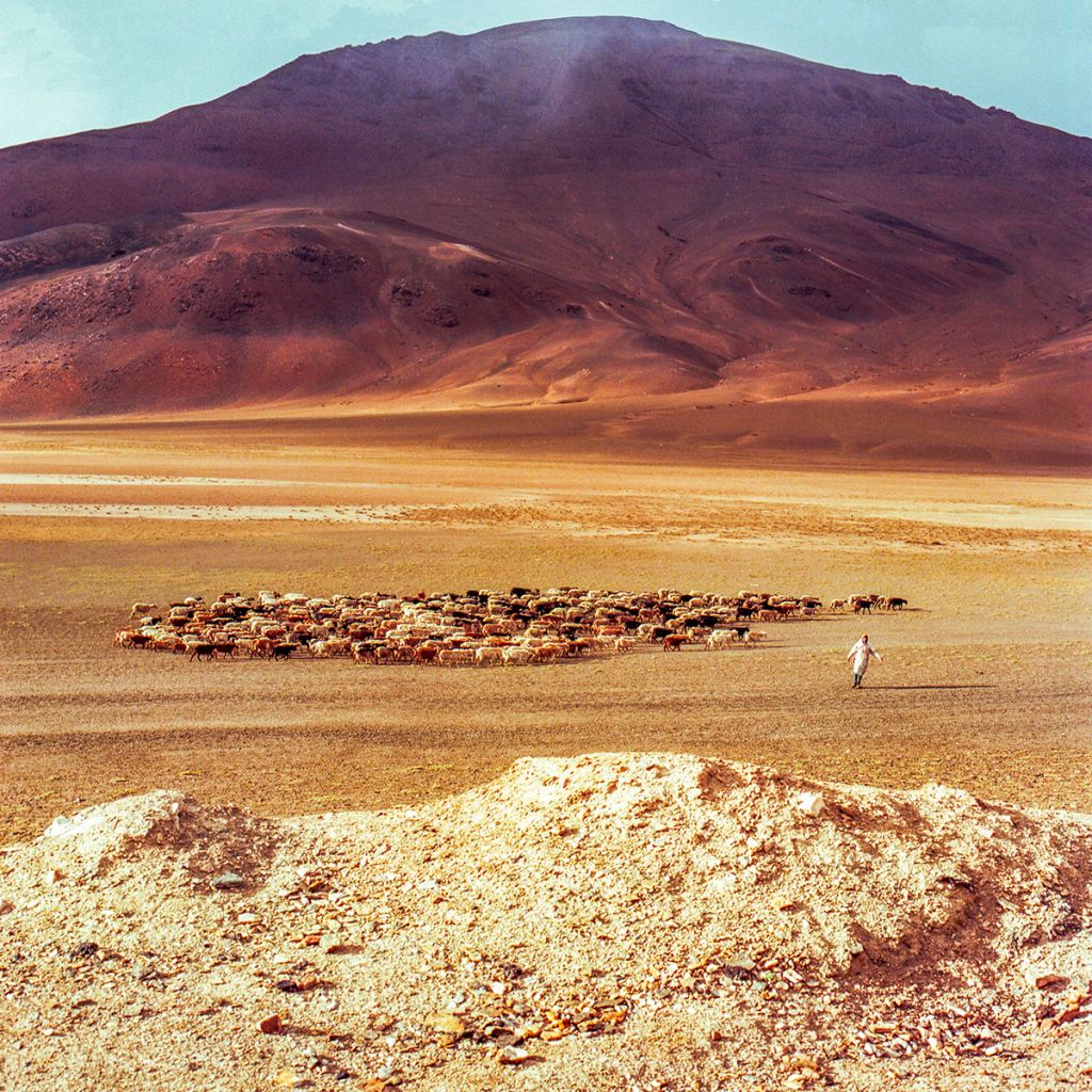 Aaryan Sinha à la recherche de l'identité indienne