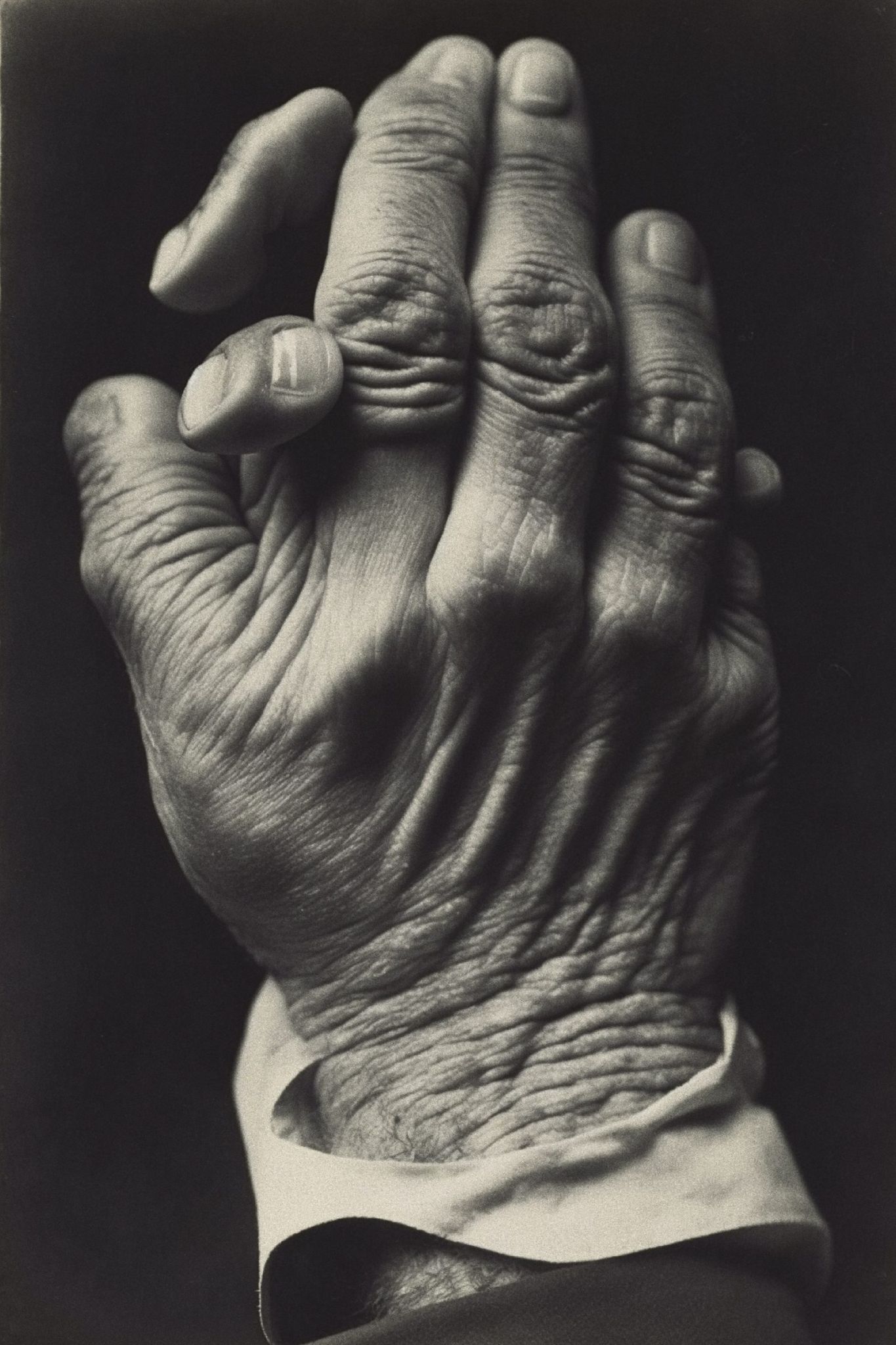 Brodbeck & de Barbuat : un duo hors du temps