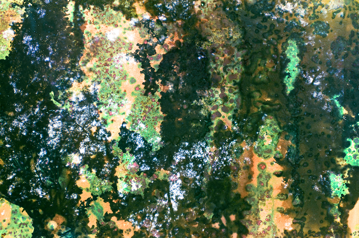 Dreamscapes : les doubles errances de Dora Kontha