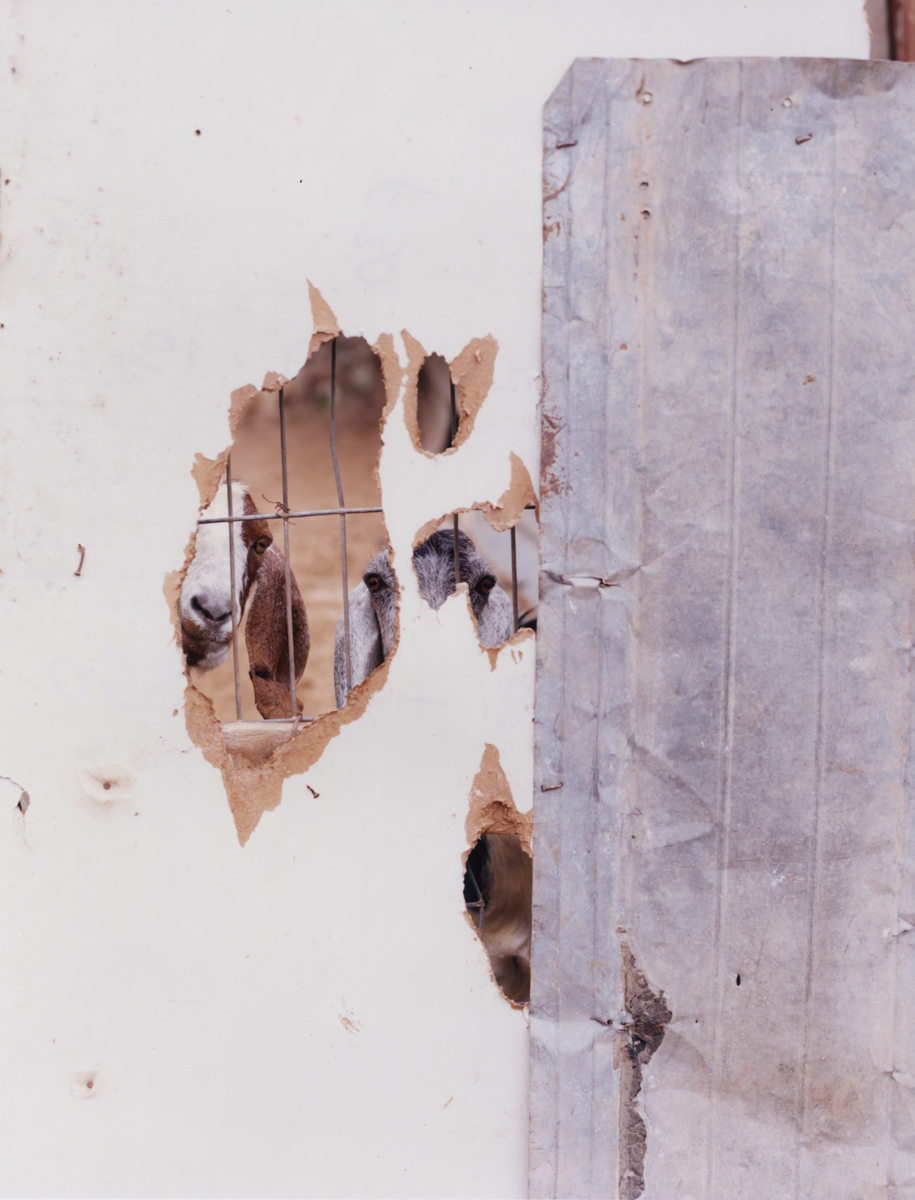 Walls : Harley Weir fait tomber les murs