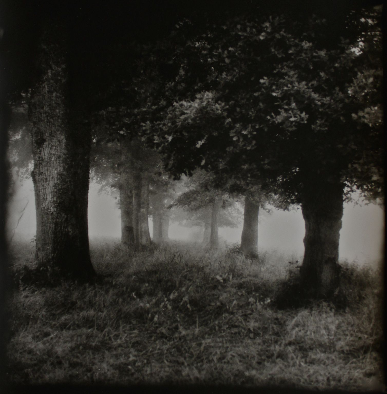 Les photographies sculpturales de Jean-Michel Fauquet