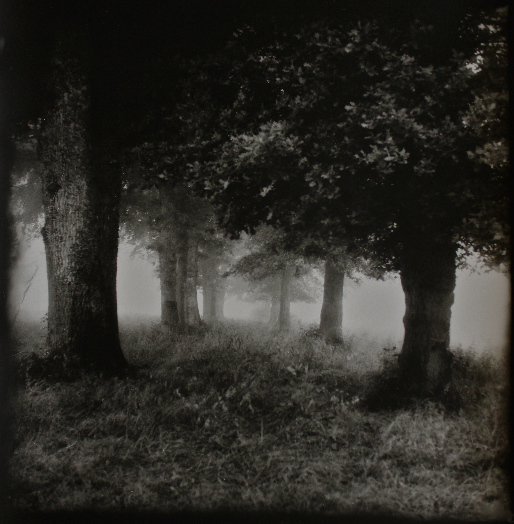 Les photographies sculpturales de Jean-Michel Fauquet