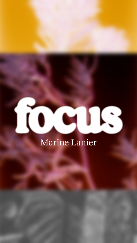 Focus #74 : Marine Lanier, Hannibal et la résistance écologique