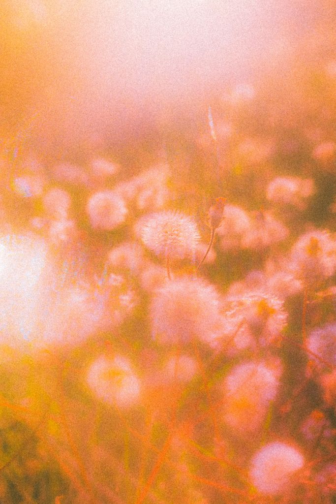 Impressionnisme : Thomas Amen rapproche ses rêves du réel