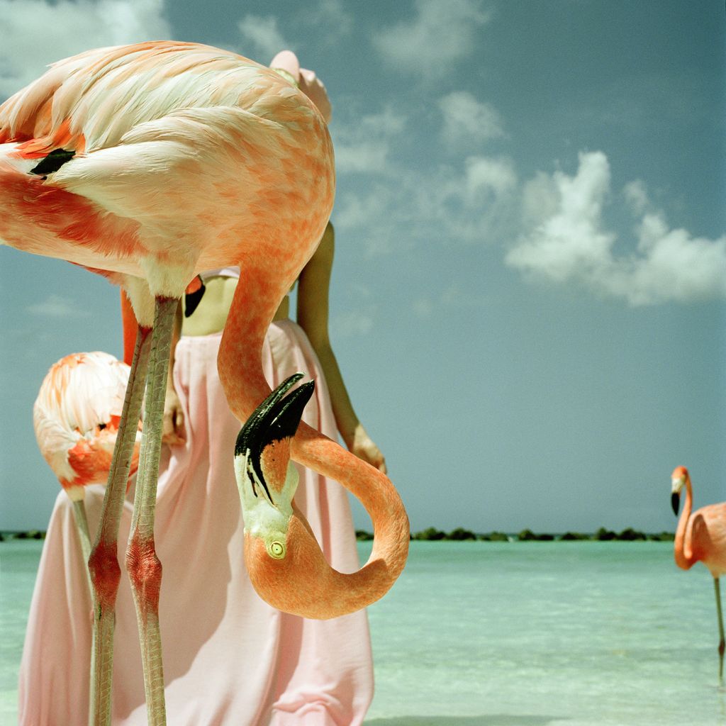 Sois belle | Fisheye Magazine