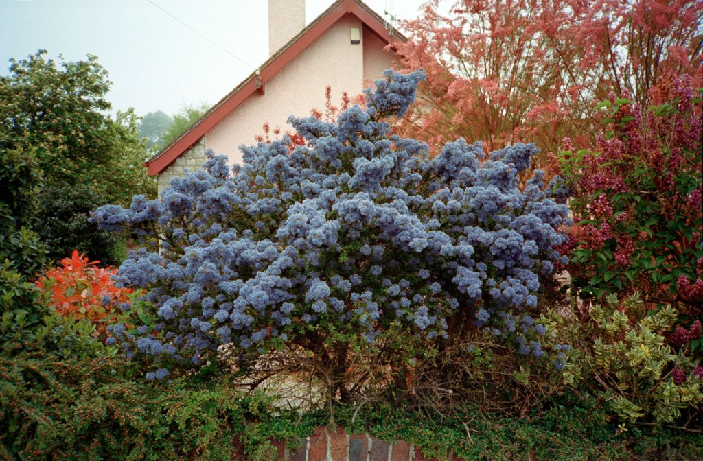 Christopher Coyle : de la tendresse en photographie | Fisheye Magazine