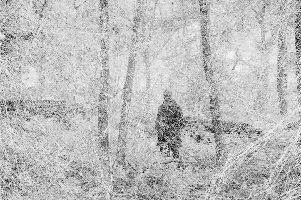 La disparition de Joseph Plummer, livre d'Amani Willet