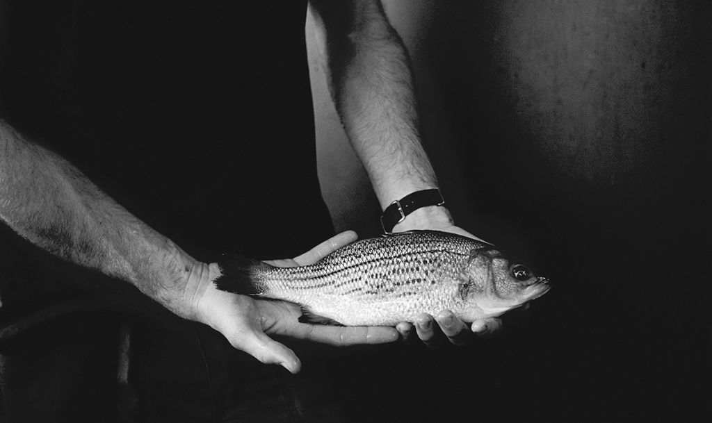 Tom Lyon et ses moments de flottements | Fisheye Magazine